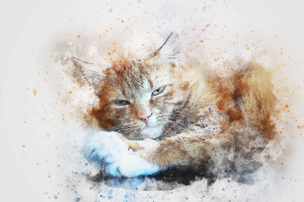 Sunbathing Cat - A Poem By Oishika Roy