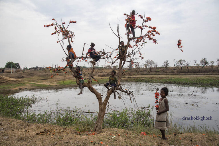 Purulia And The Innocent Tribal Children Photo Story 1