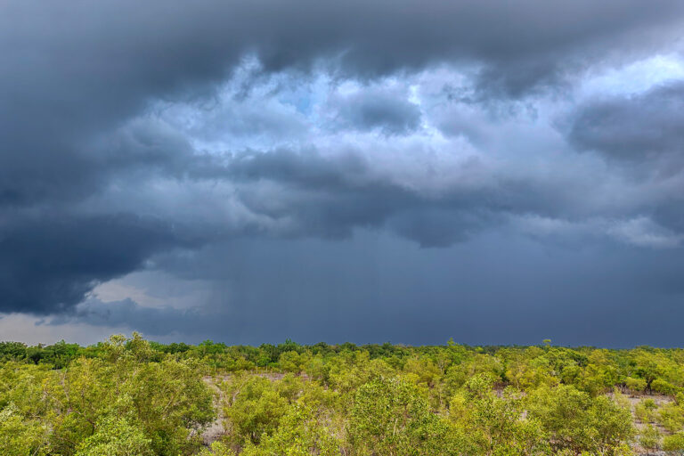 Monsoon Visit To Sunderban Photostory By Anindya Majumdar 1